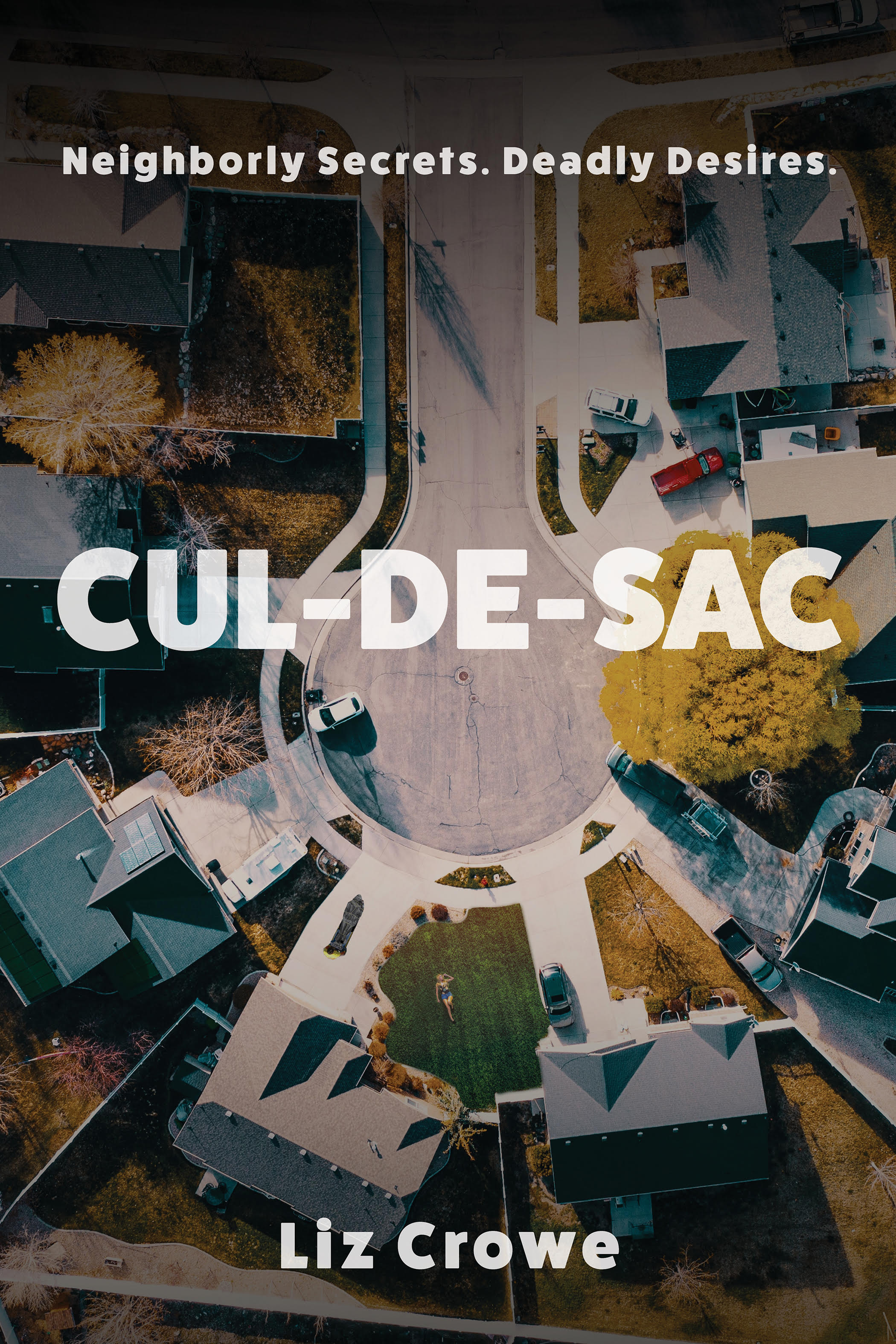 Cul-de-Sac Book Review – Book Reviews by a Chick Who Reads Everything